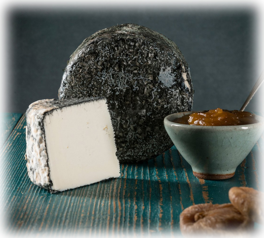 Cal Fort - Mundoquesos