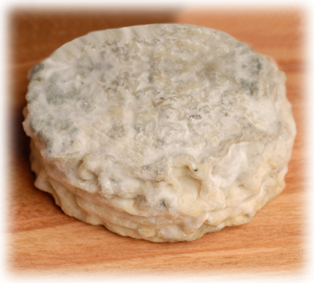 Cap Rond - Mundoquesos