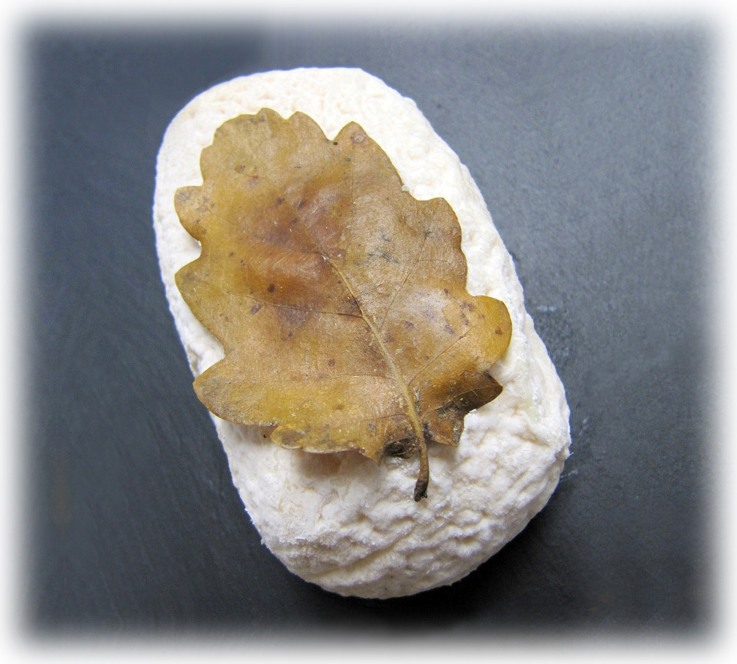 Chenette - Mundoquesos