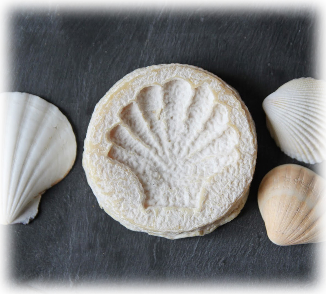 Le Compostelle - Mundoquesos