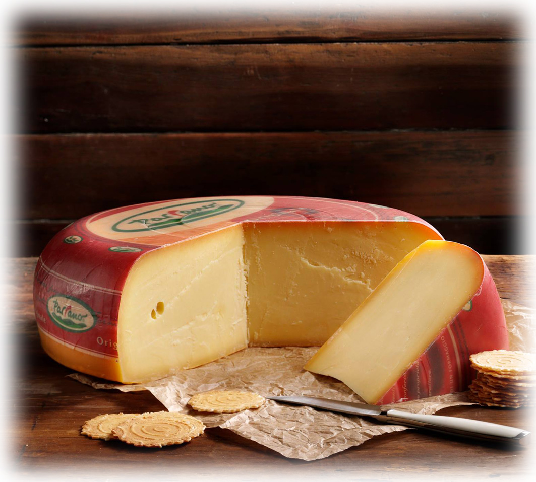 Parrano - Mundoquesos