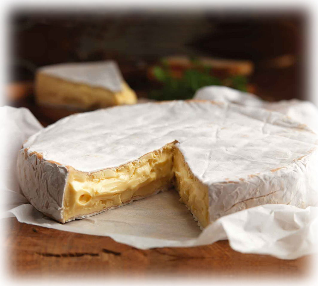 Perl Wen - Mundoquesos