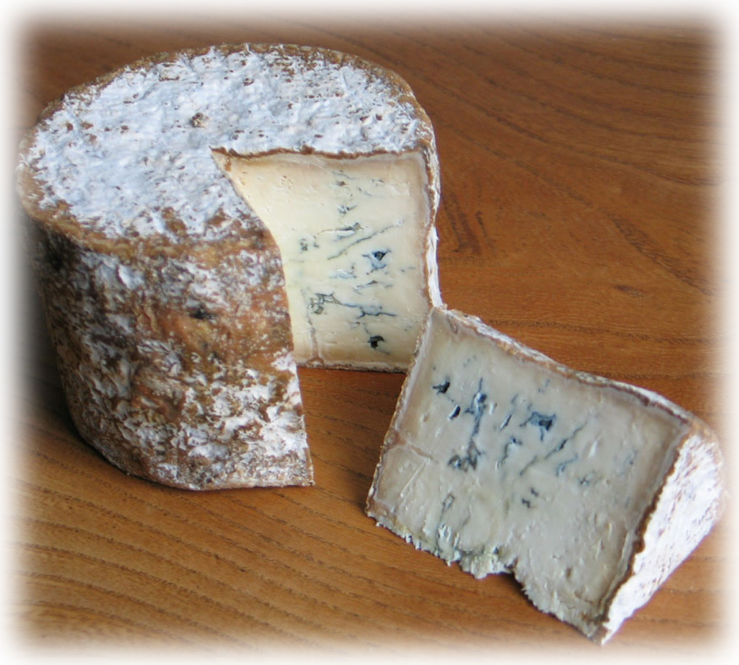 Quantock Blue - Mundoquesos