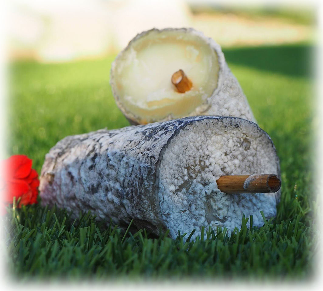 Sainte Maure de Touraine - Mundoquesos