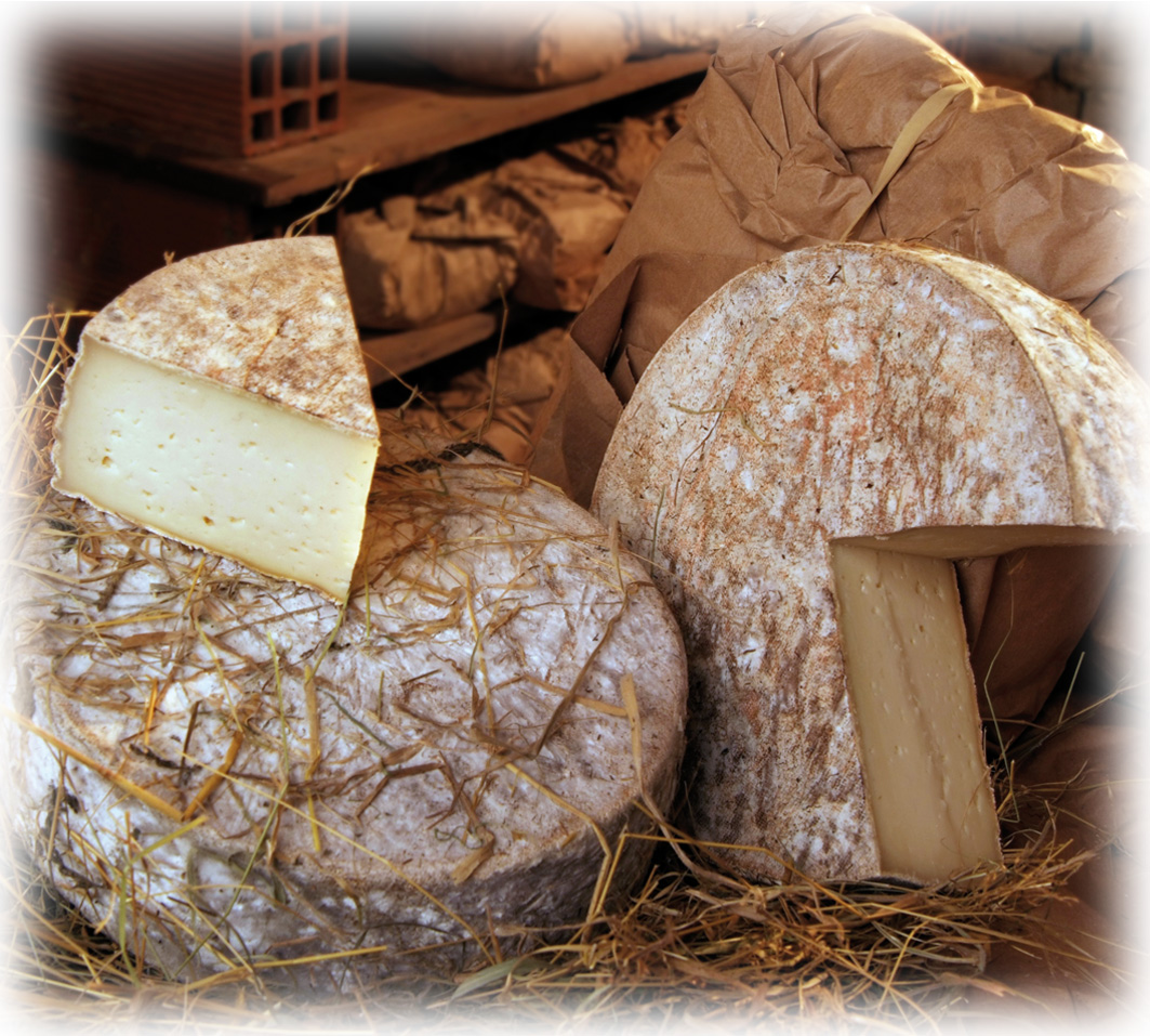 Tomme au Foin - Mundoquesos
