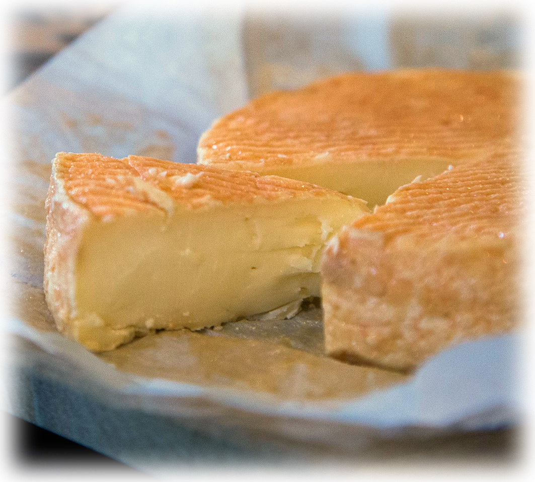 Washed Rind - Mundoquesos