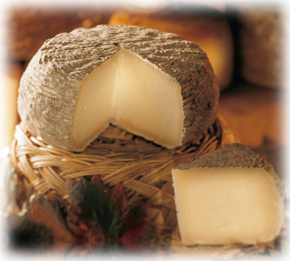 Camerano - Mundoquesos