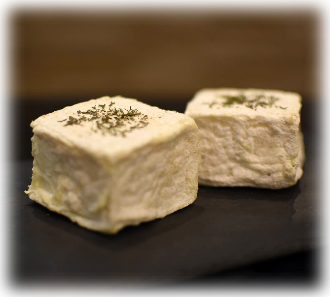 Cubotin - Mundoquesos