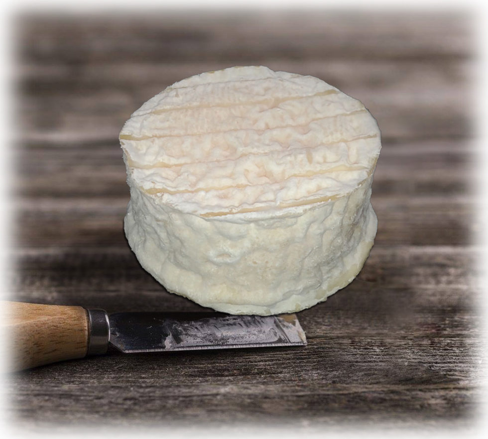 Le Rocaillou des Cabasses - Mundoquesos