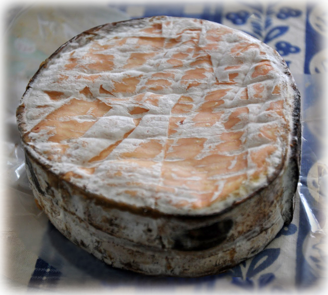 Le Sanglé - Mundoquesos