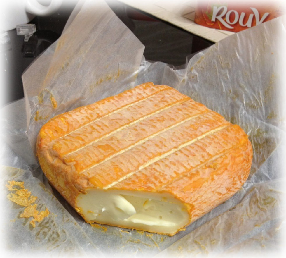 Rouy - Mundoquesos