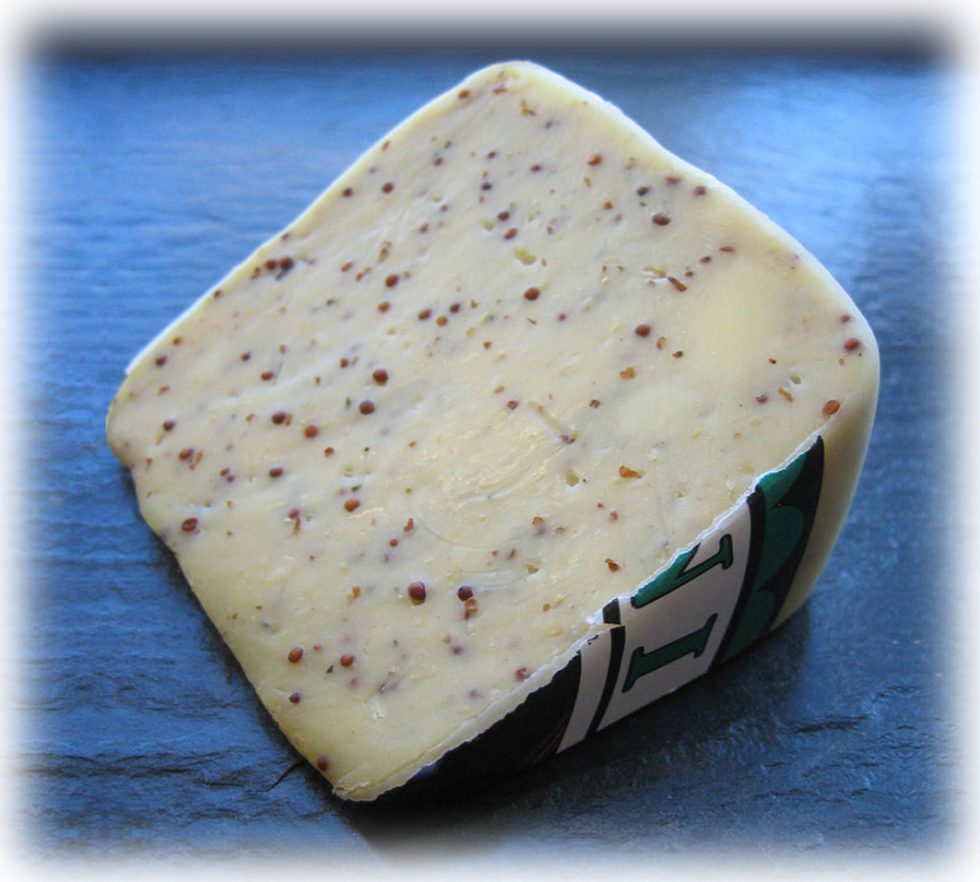 Y-Fenni - Mundoquesos