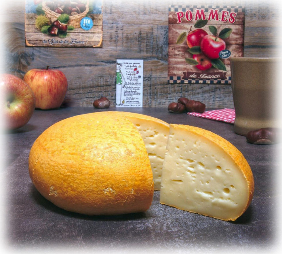 Fort d'Ambleteuse - Mundoquesos