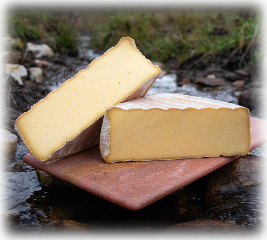 Appalachian - Mundoquesos