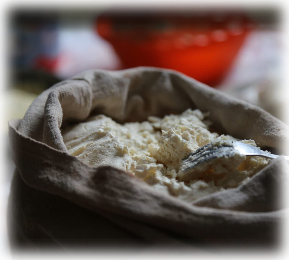 Katık Blue (Küflü Katık Peyniri) - Mundoquesos