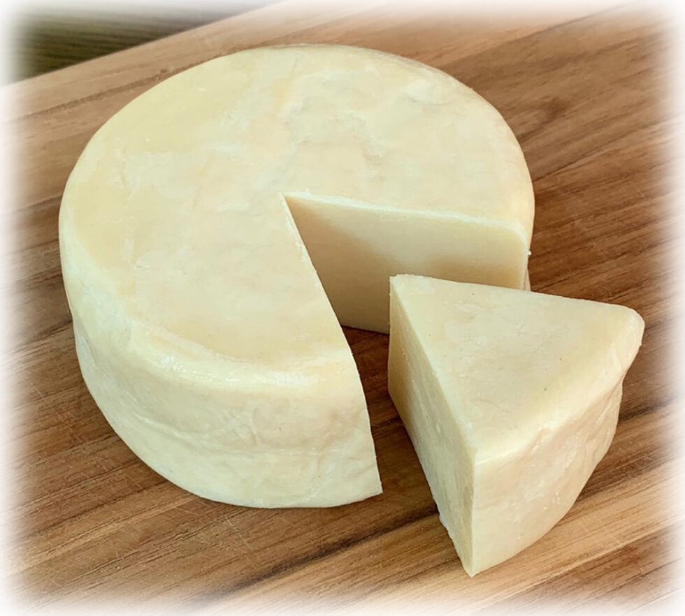 Queso “tipo manchego” mexicano - Mundoquesos Queso “tipo manchego” mexicano - Mundoquesos